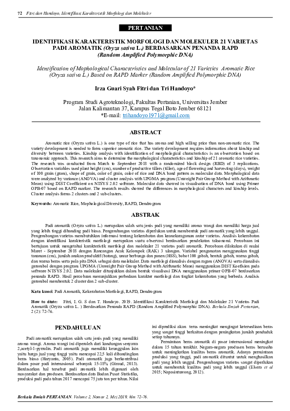 (PDF) IDENTIFIKASI KARAKTERISTIK MORFOLOGI DAN MOLEKULER 21 VARIETAS ...