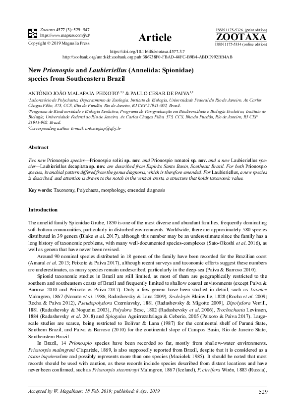 (PDF) New Prionospio and Laubieriellus (Annelida: Spionidae) species ...