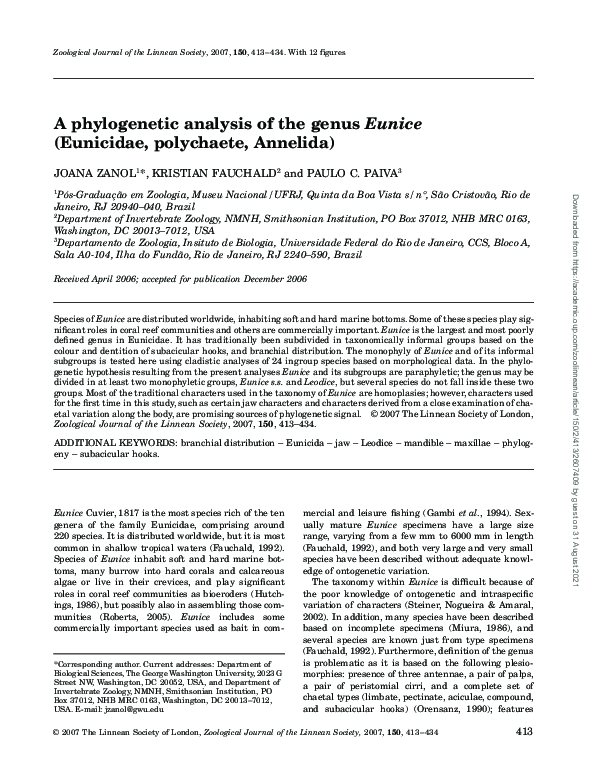 (PDF) A phylogenetic analysis of the genus Eunice (Eunicidae ...