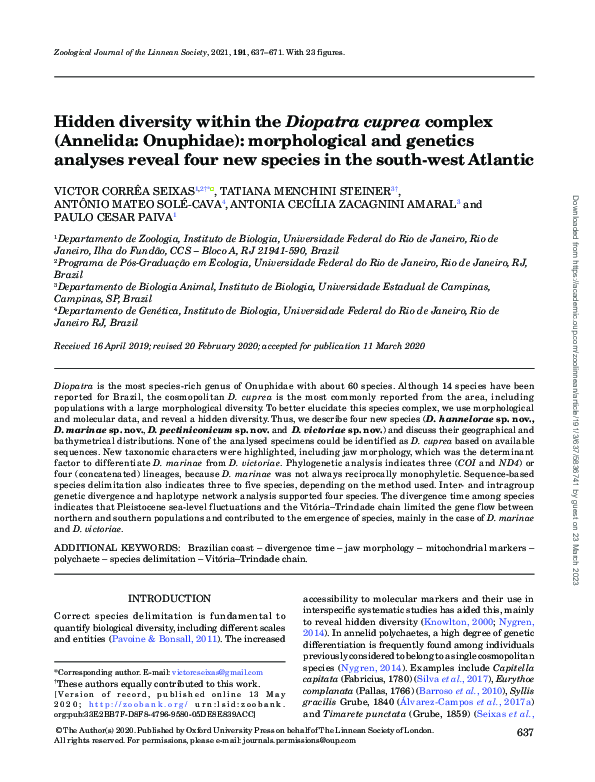 (PDF) Hidden diversity within the Diopatra cuprea complex (Annelida ...