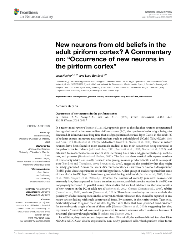 (PDF) New neurons from old beliefs in the adult piriform cortex? A ...