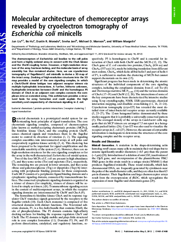 (PDF) Molecular architecture of chemoreceptor arrays revealed by cryoelectron tomography of ...