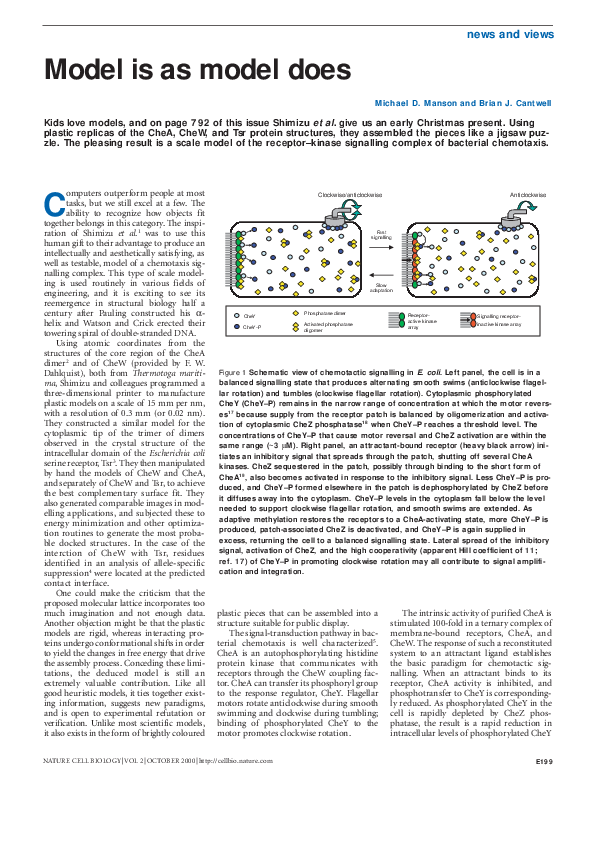 (PDF) Model is as model does