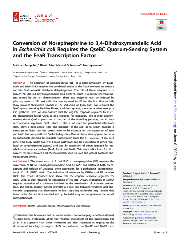 (PDF) Conversion of Norepinephrine to 3,4-Dihdroxymandelic Acid in ...