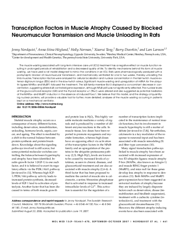 (PDF) Transcription factors in muscle atrophy caused by blocked ...