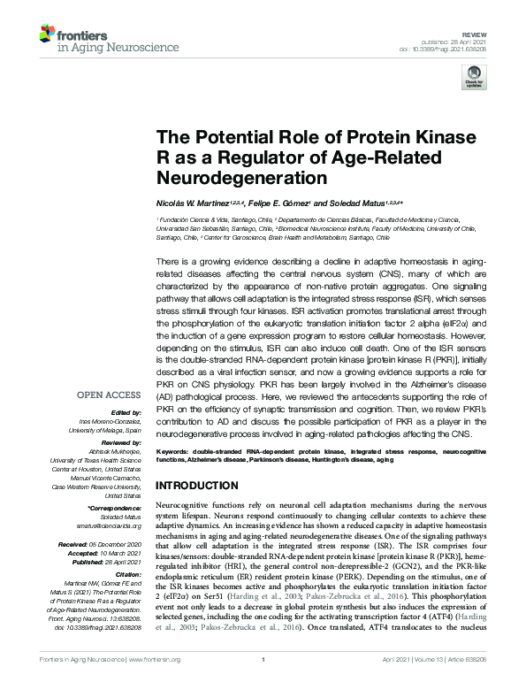 (PDF) The Potential Role of Protein Kinase R as a Regulator of Age ...
