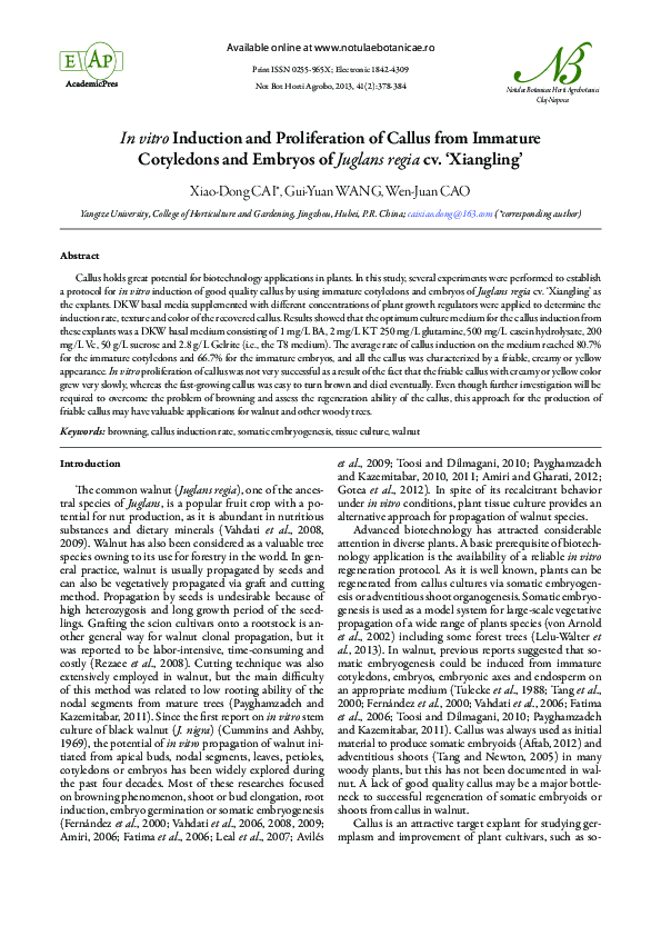 (PDF) In vitro Induction and Proliferation of Callus from Immature ...