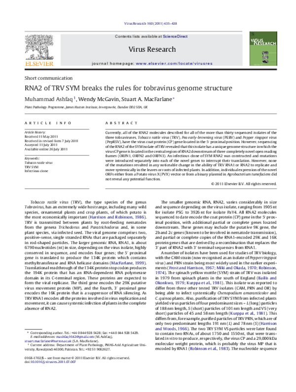 (PDF) RNA2 of TRV SYM breaks the rules for tobravirus genome structure