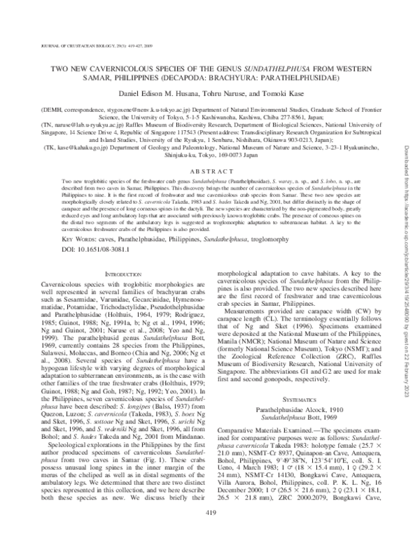(PDF) Two New Cavernicolous Species of the Genus Sundathelphusa from ...