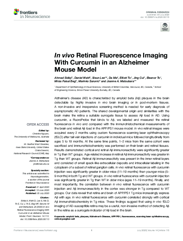 (PDF) In vivo Retinal Fluorescence Imaging With Curcumin in an ...