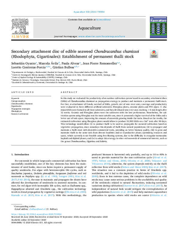 (PDF) Secondary attachment disc of edible seaweed Chondracanthus ...