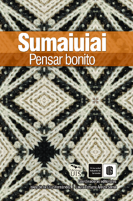 (PDF) Universidad Industrial de Santander: un camino hacia el ...