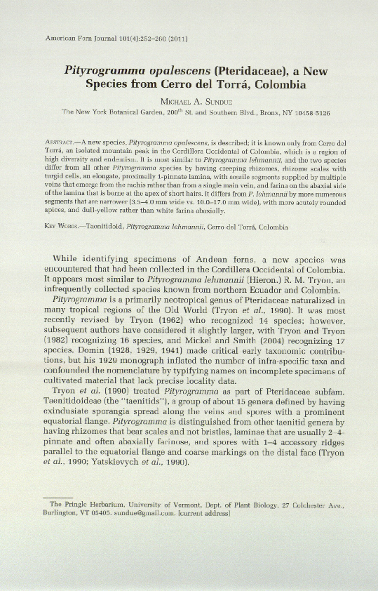 (PDF) Pityrogramma opalescens (Pteridaceae), a New Species from Cerro ...