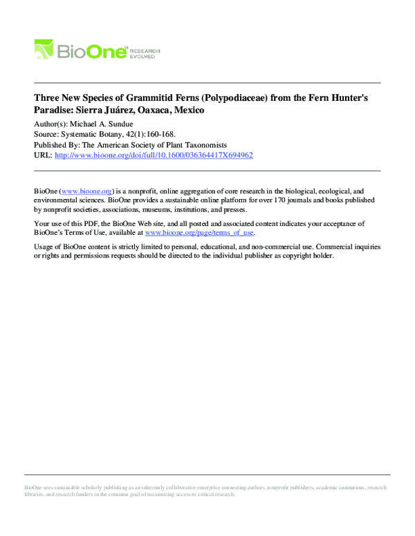 (PDF) Three New Species of Grammitid Ferns (Polypodiaceae) from the Fern Hunter's Paradise ...