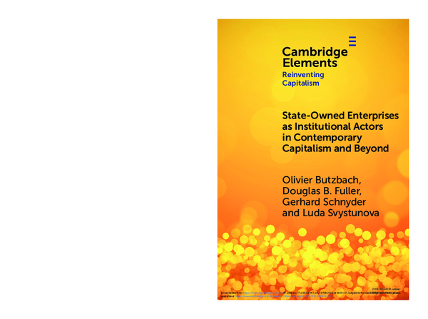 (PDF) STATE OWNED ENTERPRISES AS INSTITUTIONAL ACTORS IN CONTEMPORARY ...