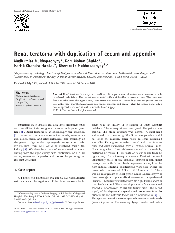 (PDF) Renal teratoma with duplication of cecum and appendix