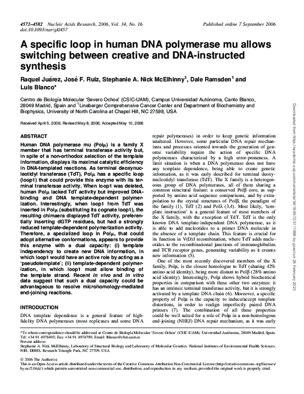 (PDF) A specific loop in human DNA polymerase mu allows switching between creative and DNA ...