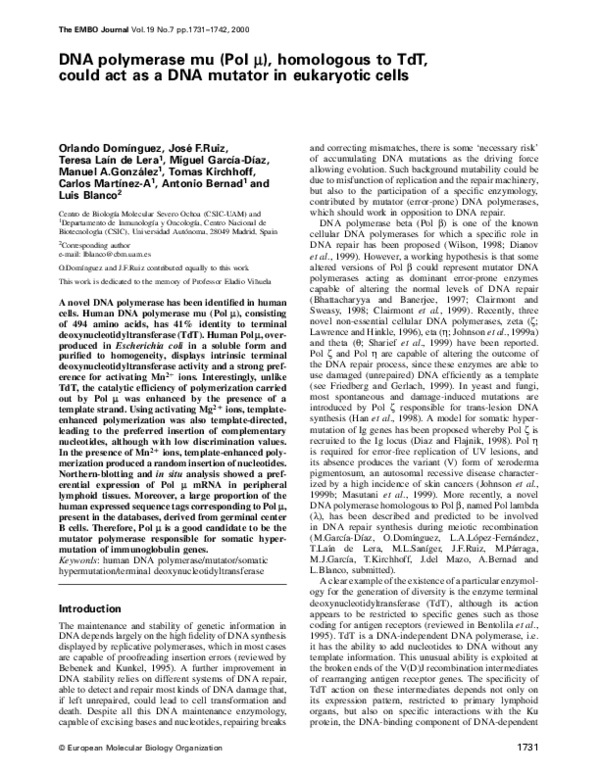 (PDF) DNA polymerase mu (Pol micro), homologous to TdT, could act as a ...