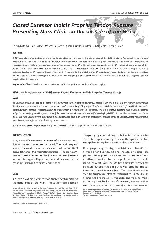 (PDF) Closed Extensor Indicis Proprius Tendon Rupture Presenting Mass ...