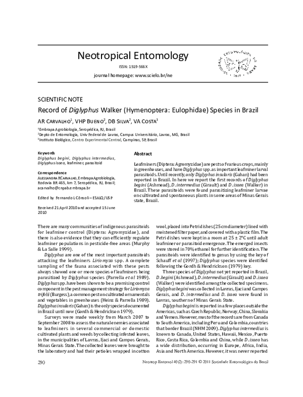 (PDF) Record of Diglyphus walker (Hymenoptera: Eulophidae) species in ...