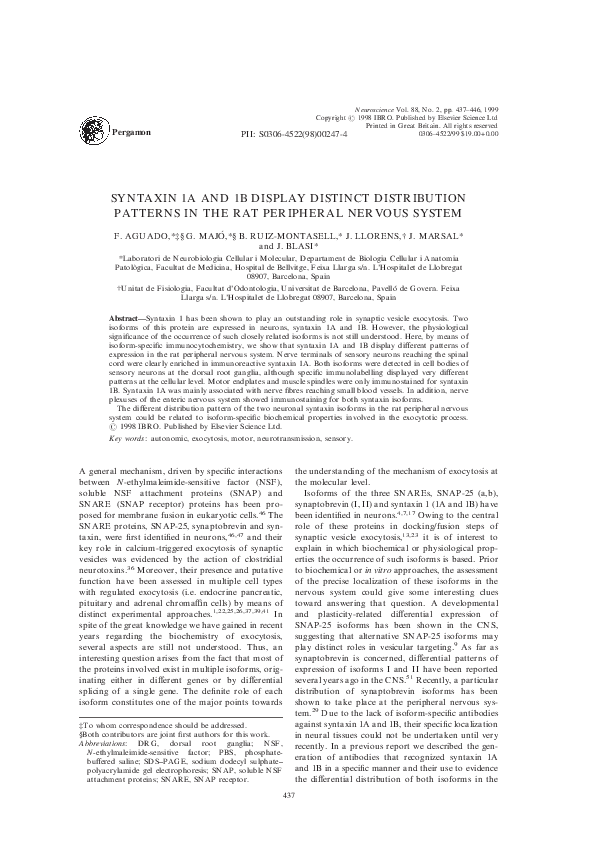 (PDF) Syntaxin 1A and 1B display distinct distribution patterns in the ...
