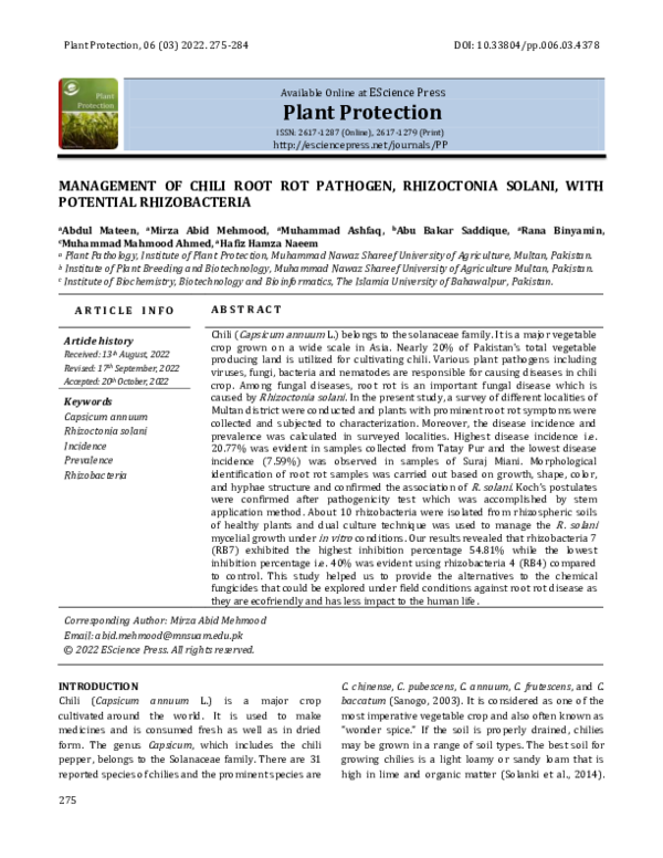 (PDF) MANAGEMENT OF CHILI ROOT ROT PATHOGEN, RHIZOCTONIA SOLANI, WITH ...