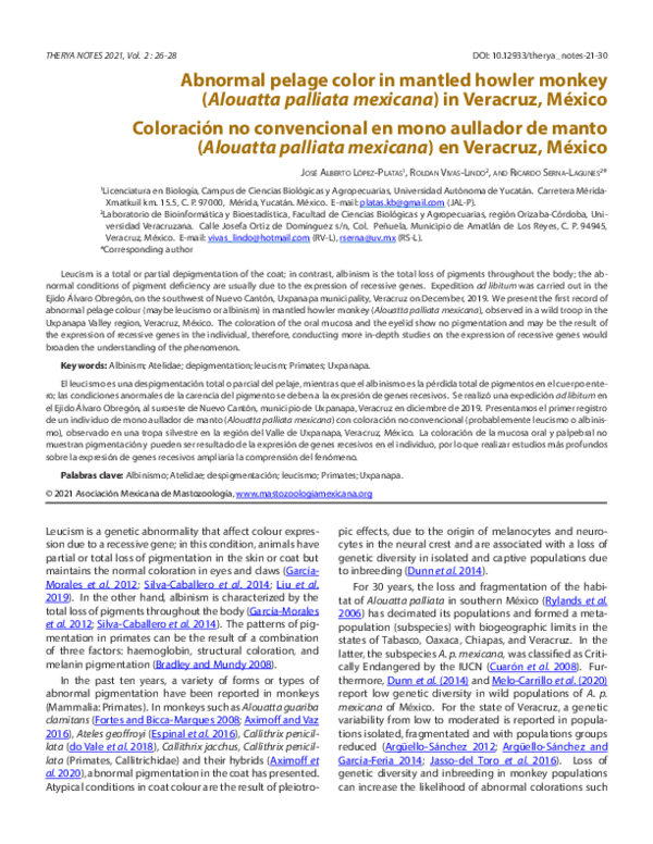(PDF) Abnormal pelage color in mantled howler monkey (Alouatta palliata ...