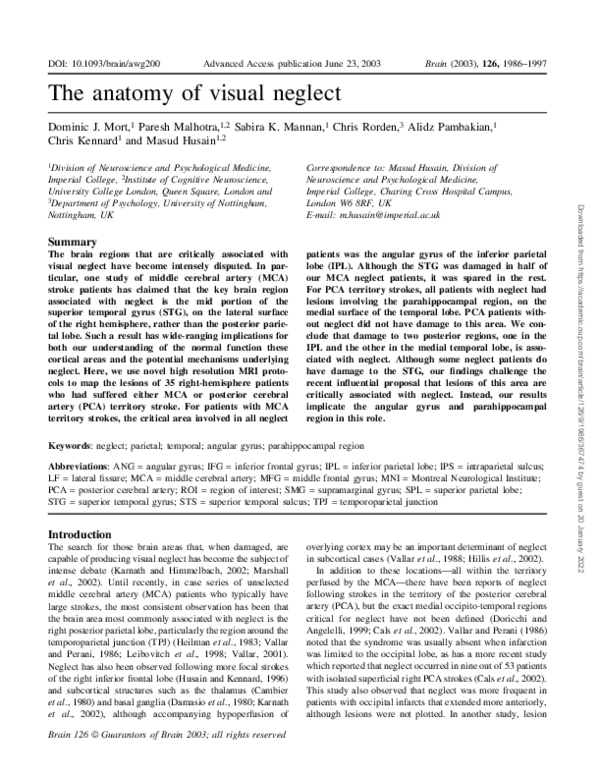 (PDF) The anatomy of visual neglect