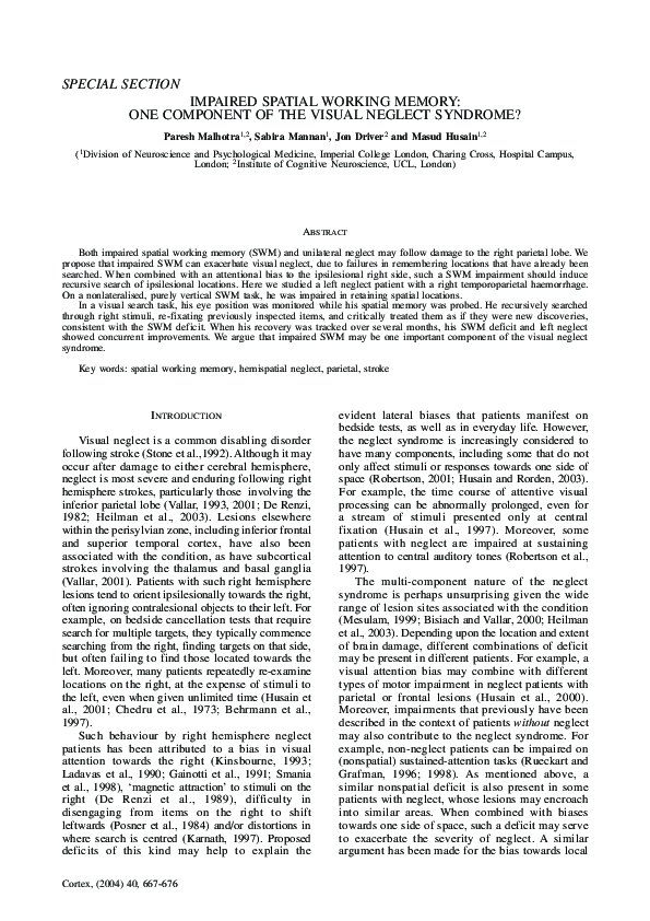 (PDF) Impaired Spatial Working Memory: One Component of the Visual Neglect Syndrome?