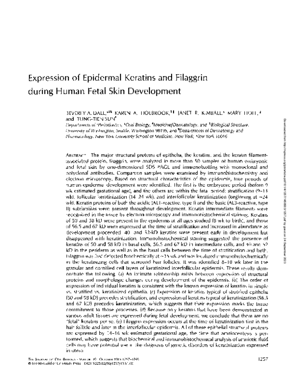 (PDF) Expression of epidermal keratins and filaggrin during human fetal skin development