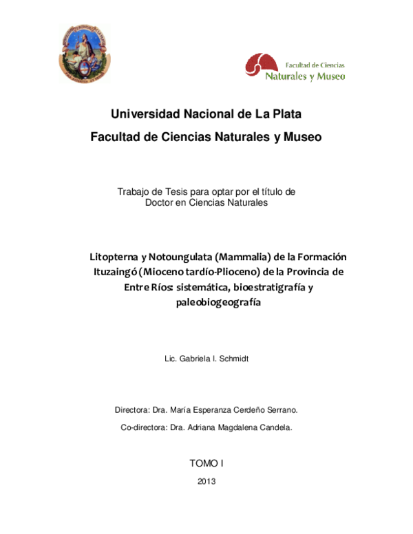 (PDF) Litopterna y Notoungulata (Mammalia) de la formación Ituzaingó ...