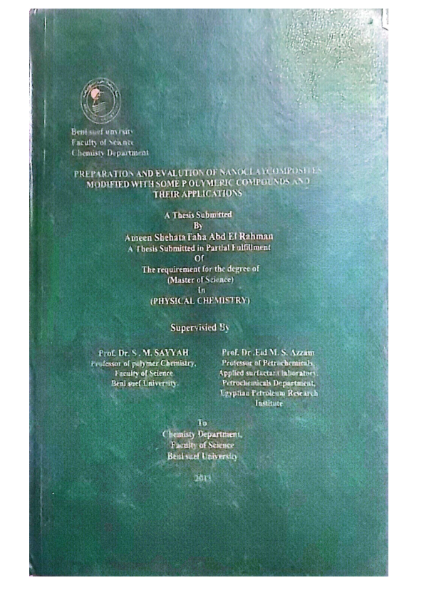 (PDF) MSC complet version (thesis)