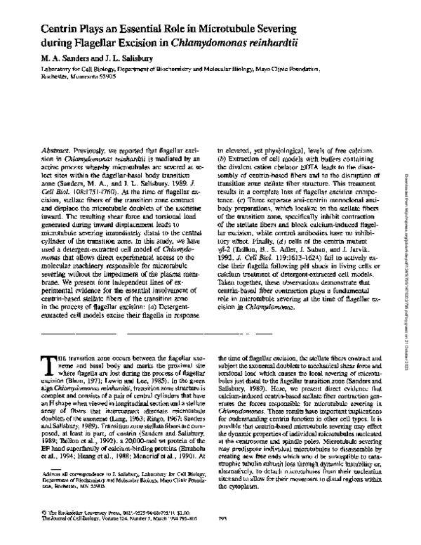 (PDF) Centrin plays an essential role in microtubule severing during ...
