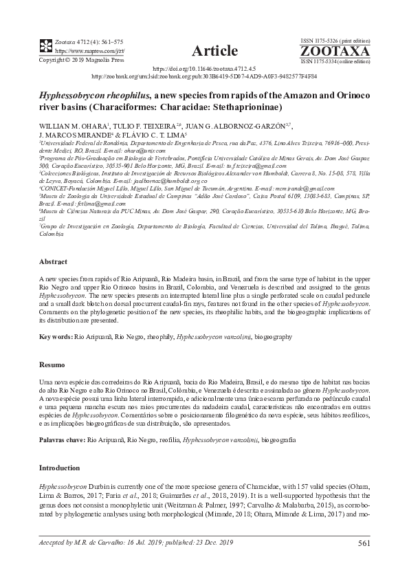 (PDF) Hyphessobrycon rheophilus, a new species from rapids of the ...