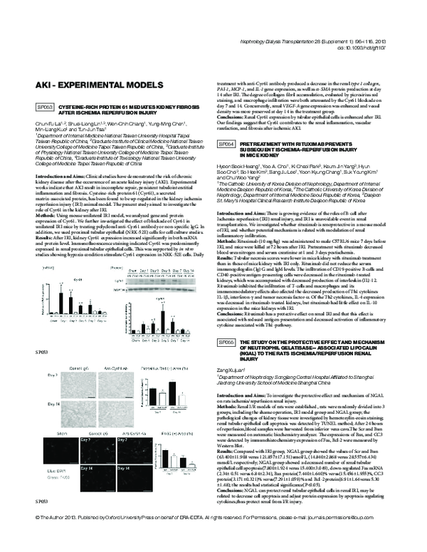 (PDF) AKI - experimental models