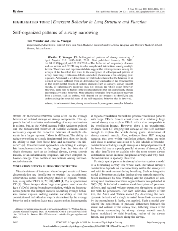 (PDF) Self-organized patterns of airway narrowing
