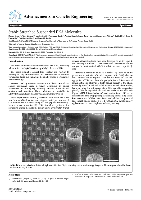 (PDF) Stable Stretched Suspended DNA Molecules