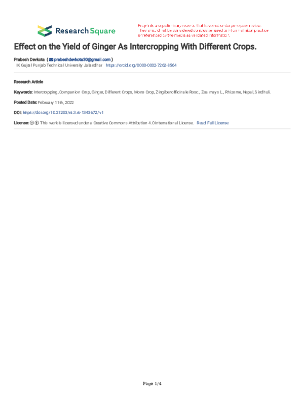 (PDF) Effect on the Yield of Ginger As Intercropping With Different Crops