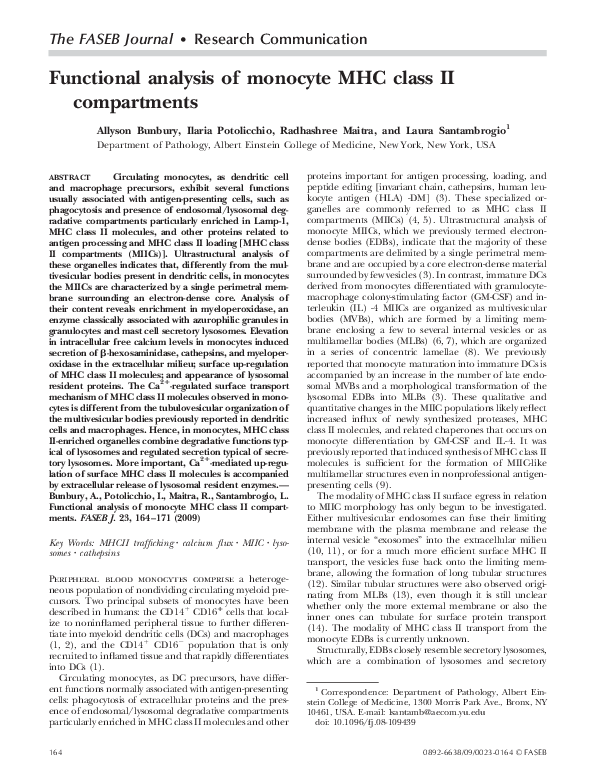 (PDF) Functional analysis of monocyte MHC class II