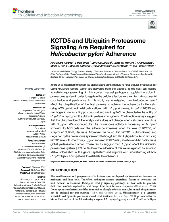 (PDF) KCTD5 and Ubiquitin Proteasome Signaling Are Required for ...