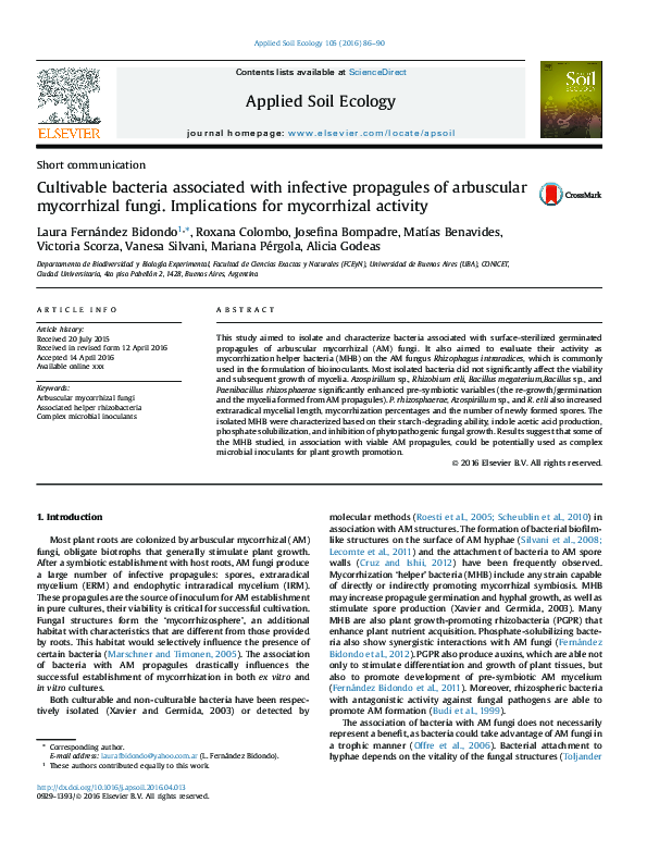 (PDF) Cultivable bacteria associated with infective propagules of arbuscular mycorrhizal fungi ...