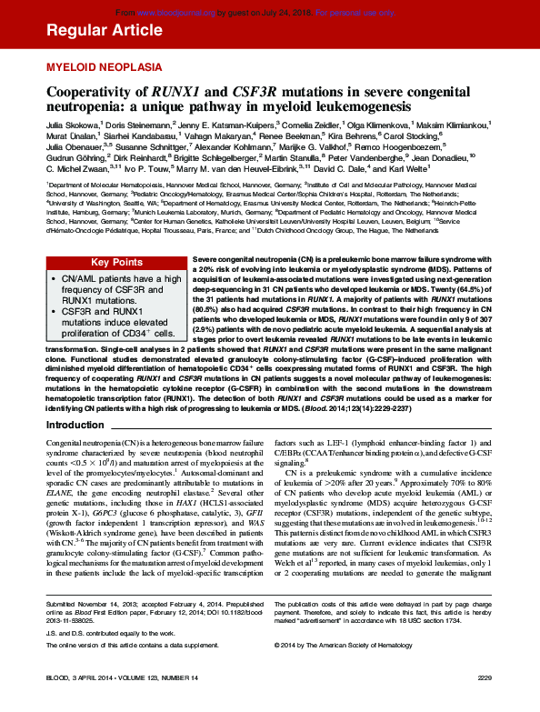 (PDF) Cooperativity of RUNX1 and CSF3R mutations in severe congenital neutropenia: a unique ...