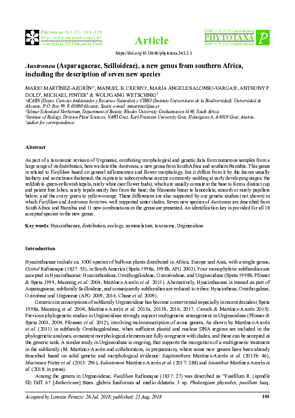 (PDF) Austronea (Asparagaceae, Scilloideae), a new genus from southern ...