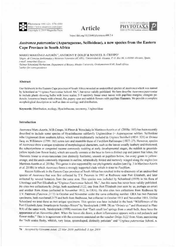 (PDF) Austronea patersoniae (Asparagaceae, Scilloideae), a new species ...