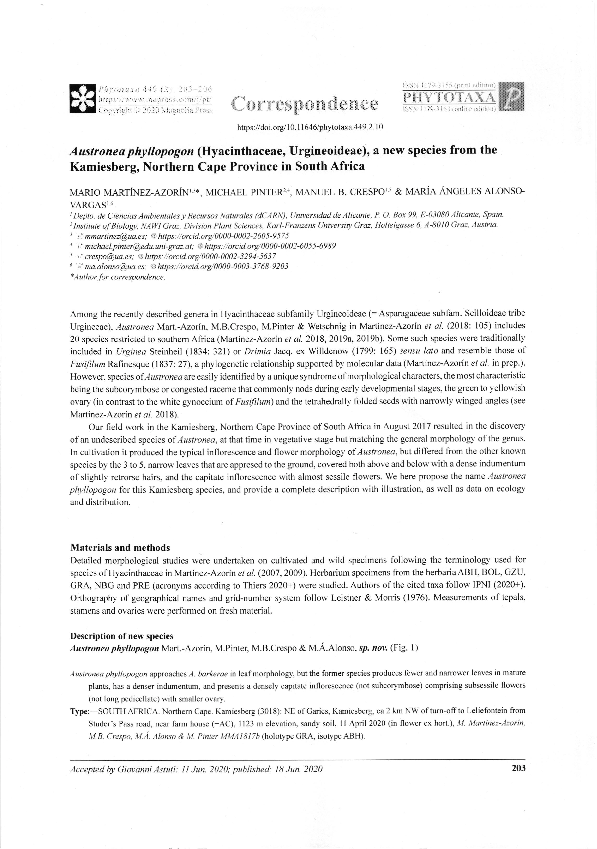 (PDF) Austronea phyllopogon (Hyacinthaceae, Urgineoideae), a new ...