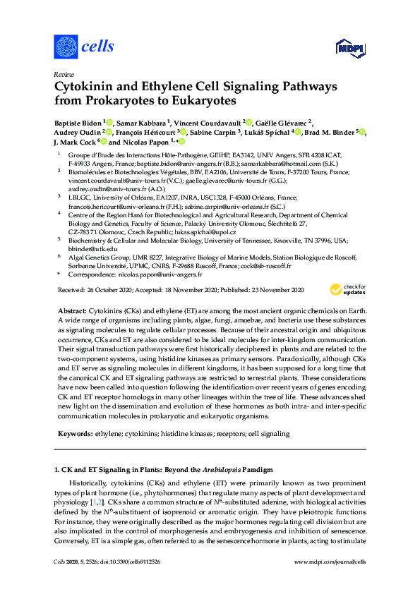 (PDF) Cytokinin and Ethylene Cell Signaling Pathways from Prokaryotes ...