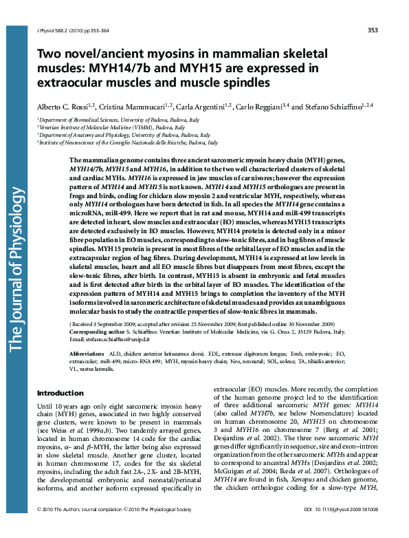 (PDF) Two novel/ancient myosins in mammalian skeletal muscles: MYH14/7b ...
