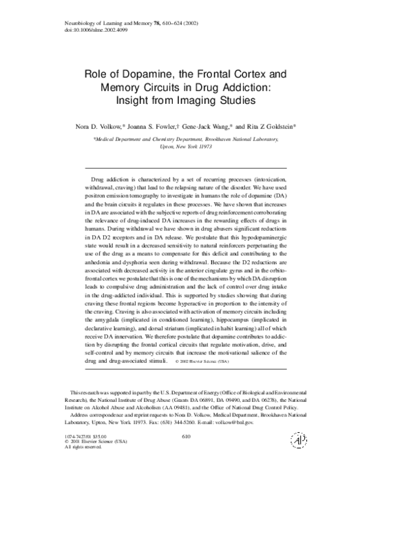 (PDF) Role of Dopamine, the Frontal Cortex and Memory Circuits in Drug ...