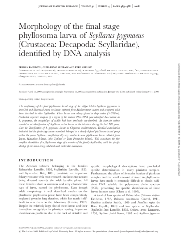(PDF) Morphology of the final stage phyllosoma larva of Scyllarus ...