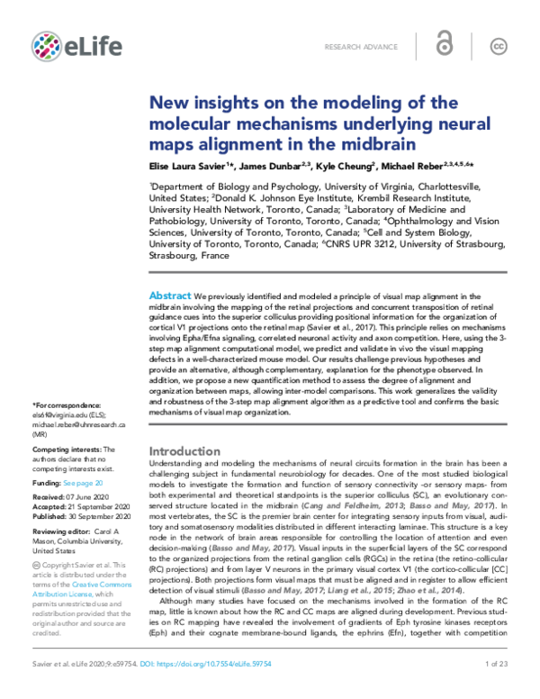 (PDF) New insights on the modeling of the molecular mechanisms ...